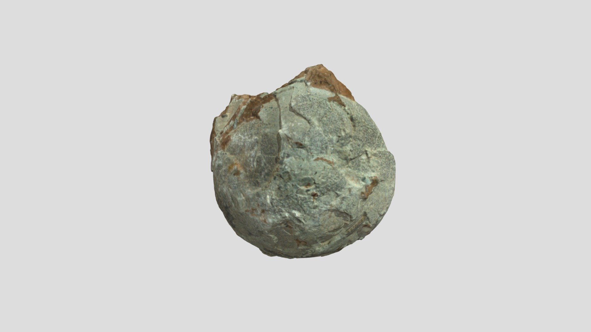 Hadrosauridae Sp. Egg - Download Free 3D model by dot_3D_Fossiland ...