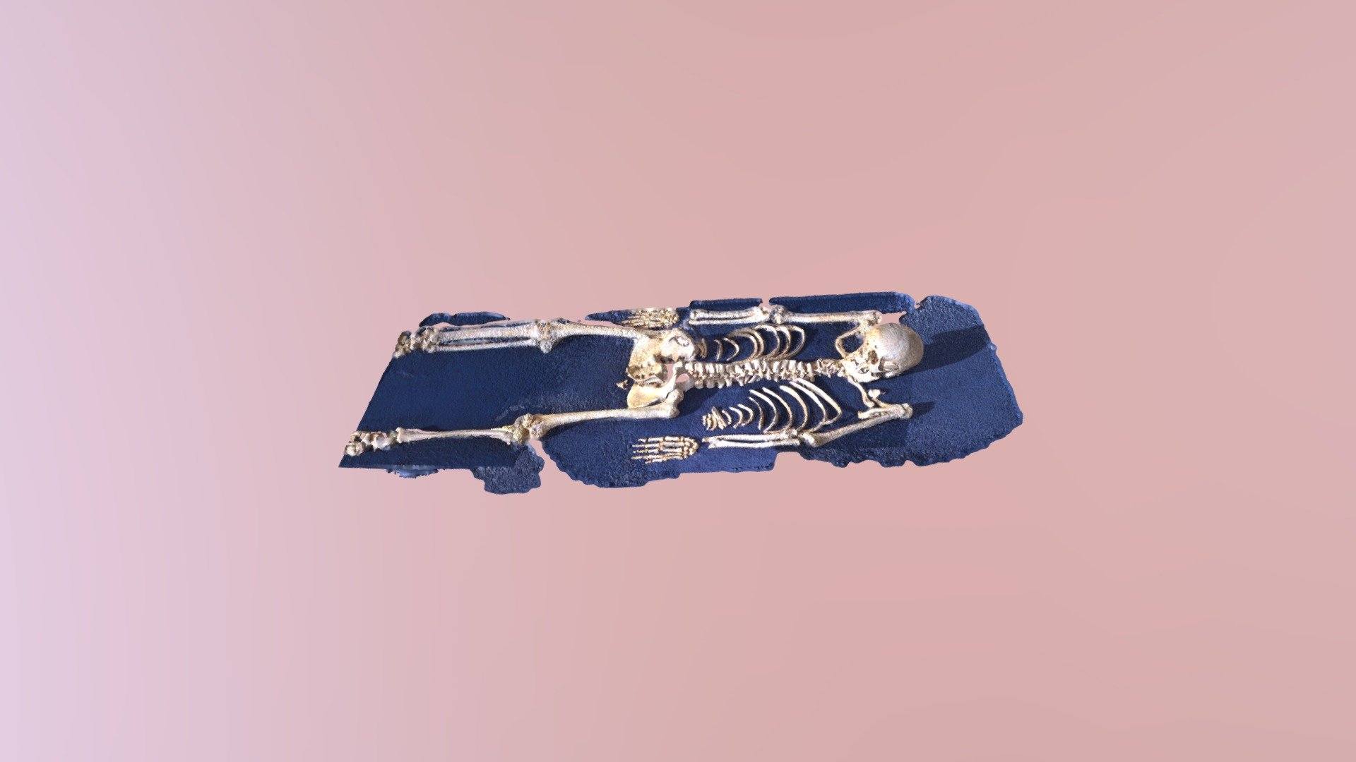 St Nicholas Kirk Skeleton SK879 - 3D model by Moira Blackmore ...