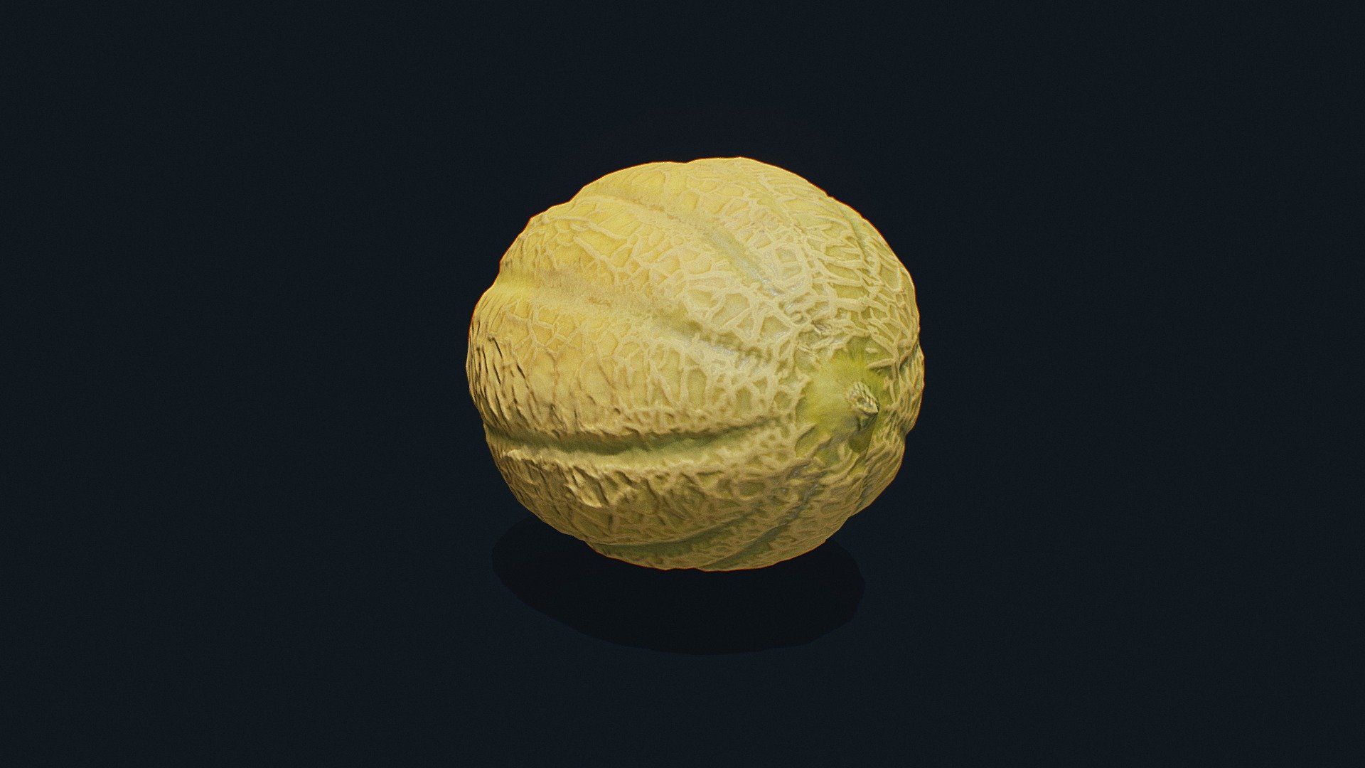 Melon - Photogrammetry - 3D model by David Zanoni (@davidzanoni) [5f41a63] - Sketchfab