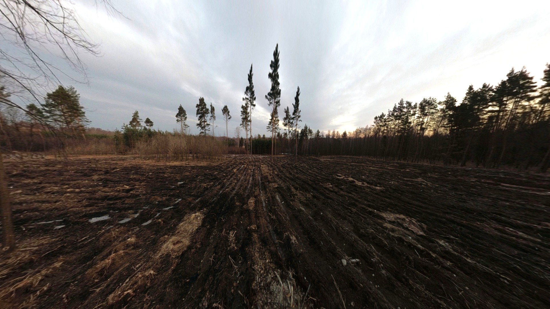 360 Panorama #6 Dusk VR Background Backdrop FREE - Download Free 3D ...