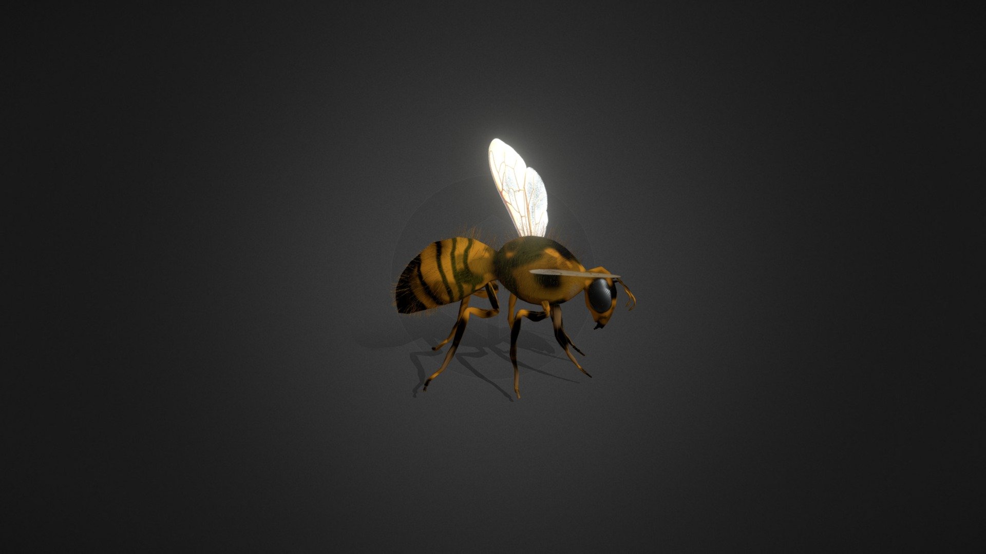 Bee - 3D model by TDG3D (@tdgtutorial) [5f53454] - Sketchfab