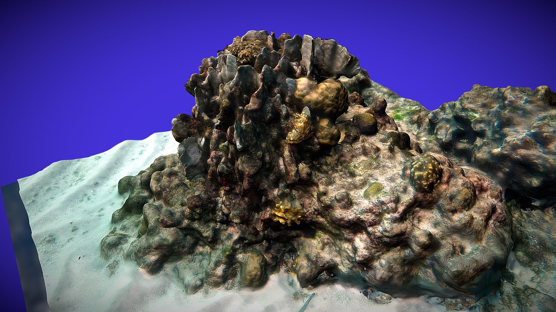 MAL Coral Structure, Lighthouse, 2018,09 - 3D model by BlueNomadsOrg ...