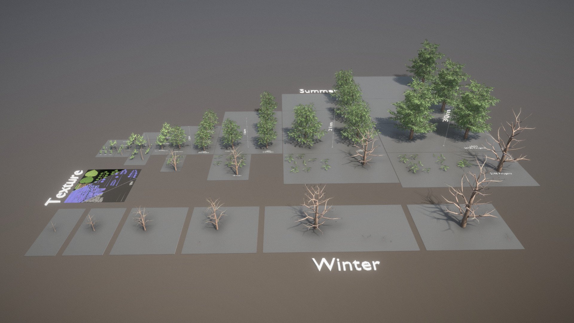 Empress-Tree Package - Buy Royalty Free 3D model by VIS-All-3D (@VIS-All) [5f5e464] - Sketchfab ...