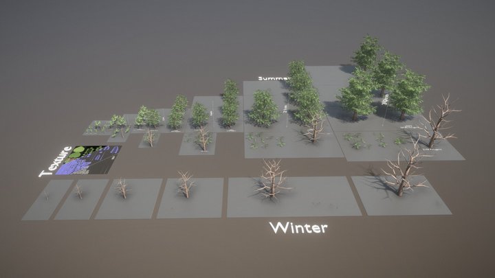 Tree-animation 3D models - Sketchfab