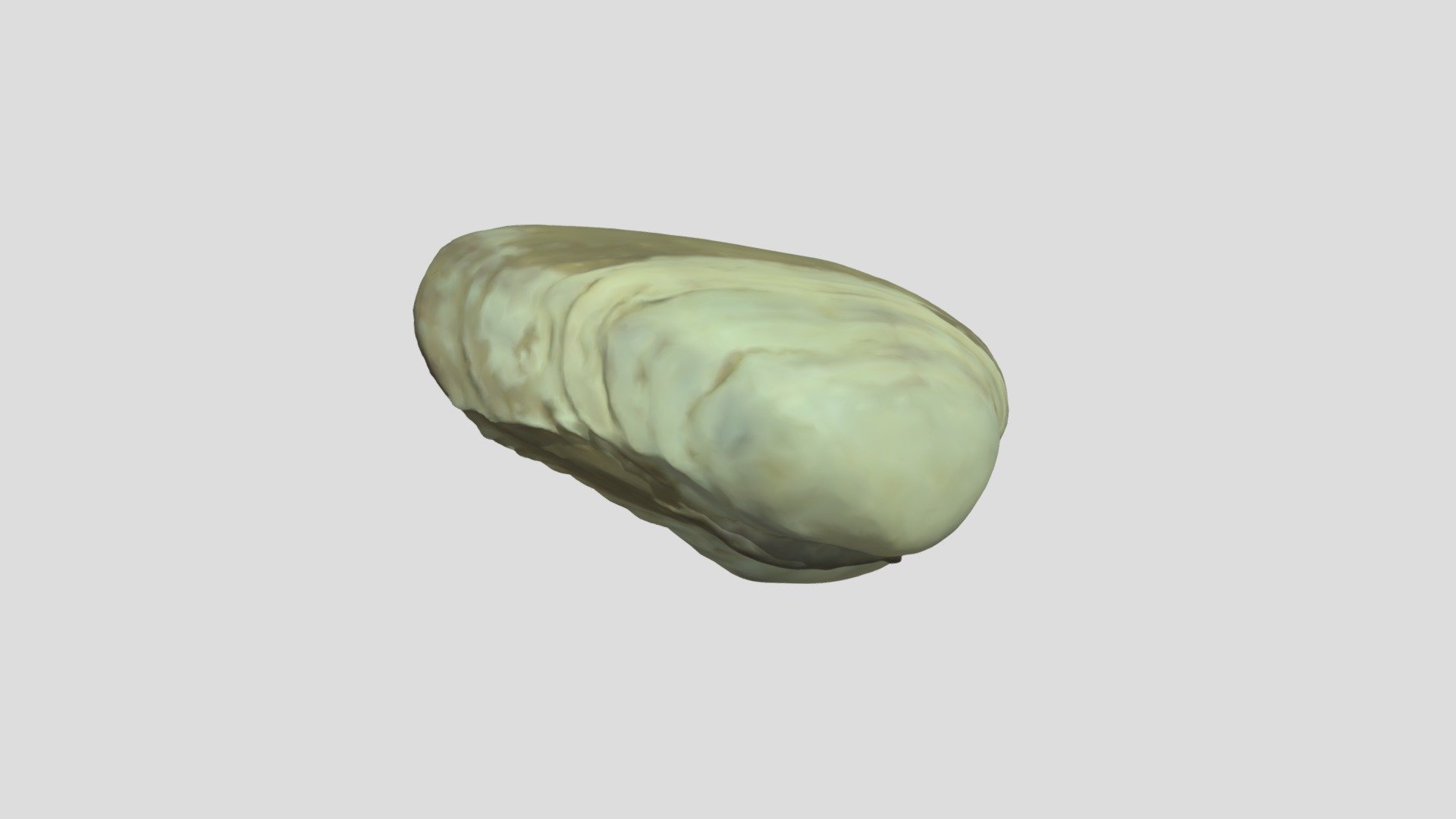 Trapezium liratum_ウネナシトマヤガイ_GMNH-IM1048 - Download Free 3D model by Gunma Museum of Natural ...