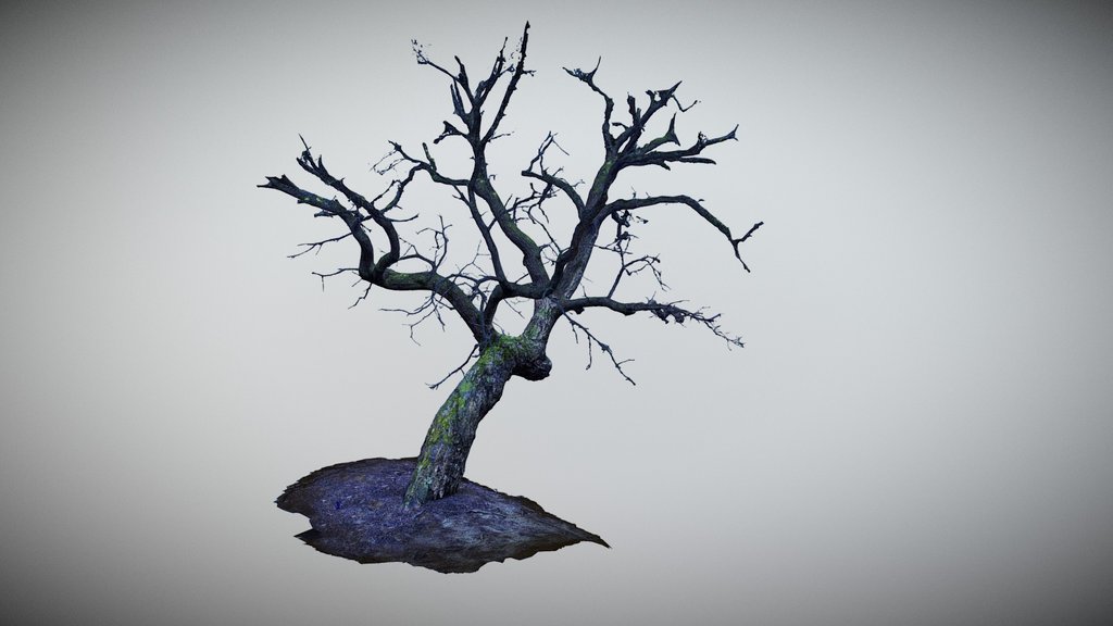tree - A 3D model collection by hese_ - Sketchfab
