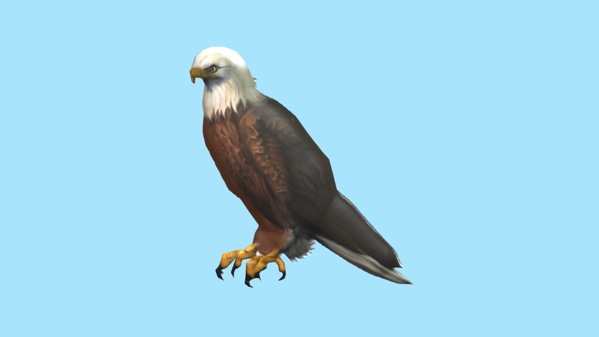 ELANG - Download Free 3D model by chikachel [5f66de0] - Sketchfab