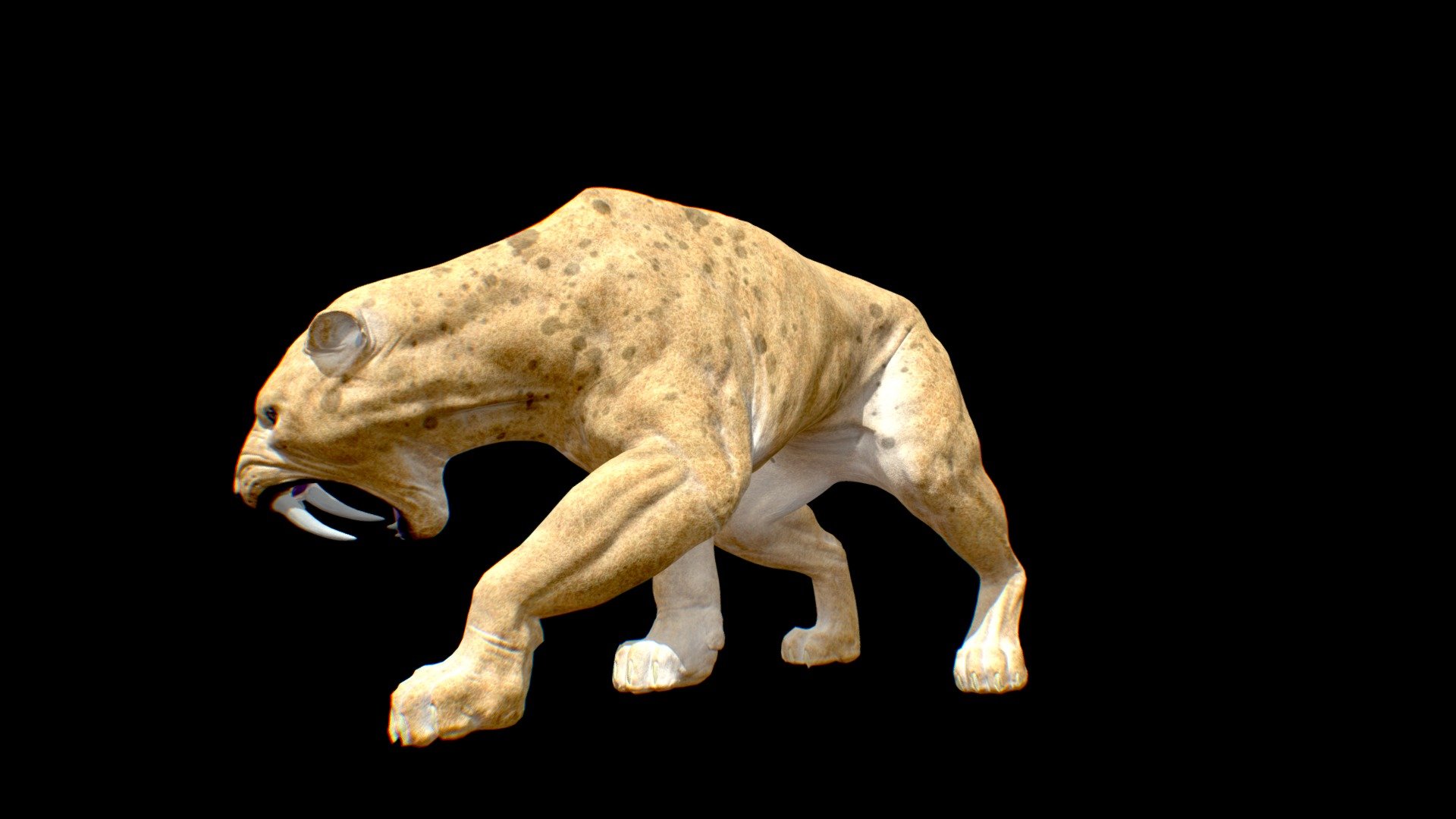 Smilodon_pose_02 - 3D model by memoriavirtual [5f68710] - Sketchfab
