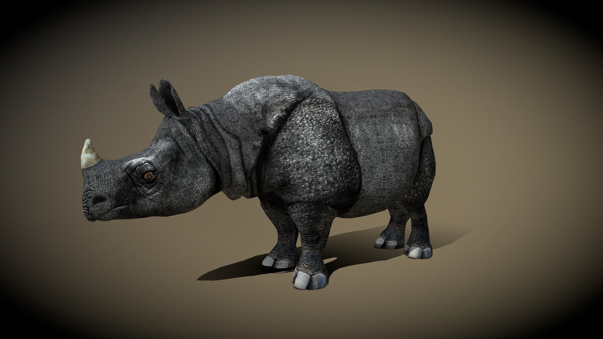 rhino_rigged_animation - Buy Royalty Free 3D model by pinotoon [5f75458 ...