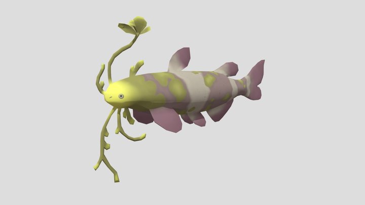 Catfish 3D models - Sketchfab