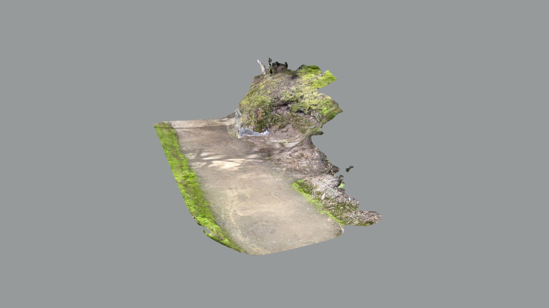 Forest path - Download Free 3D model by maccanz [5f7e4ef] - Sketchfab