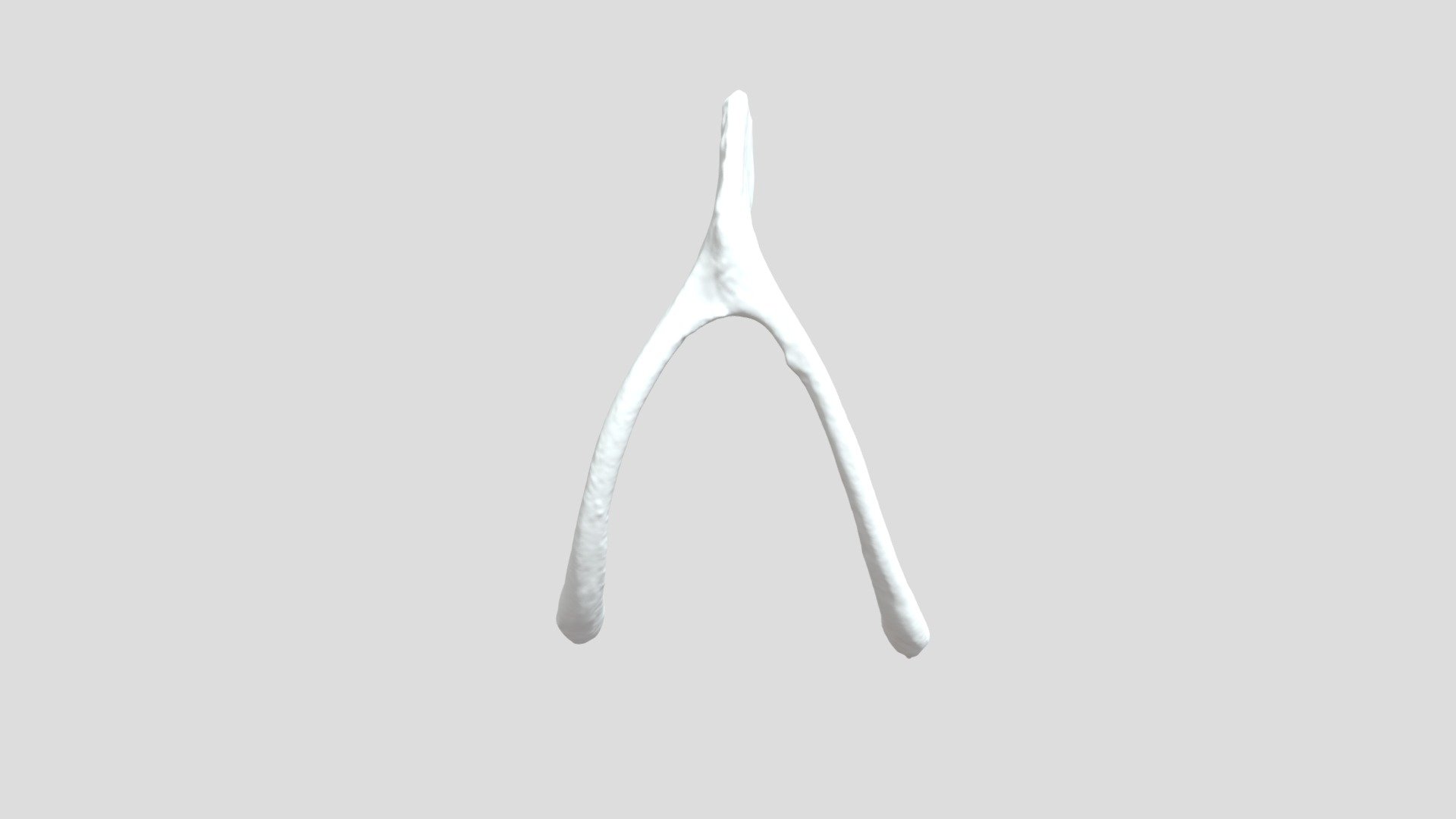 Chicken Furcula (VCU_3D_5965) - Download Free 3D model by Virtual ...