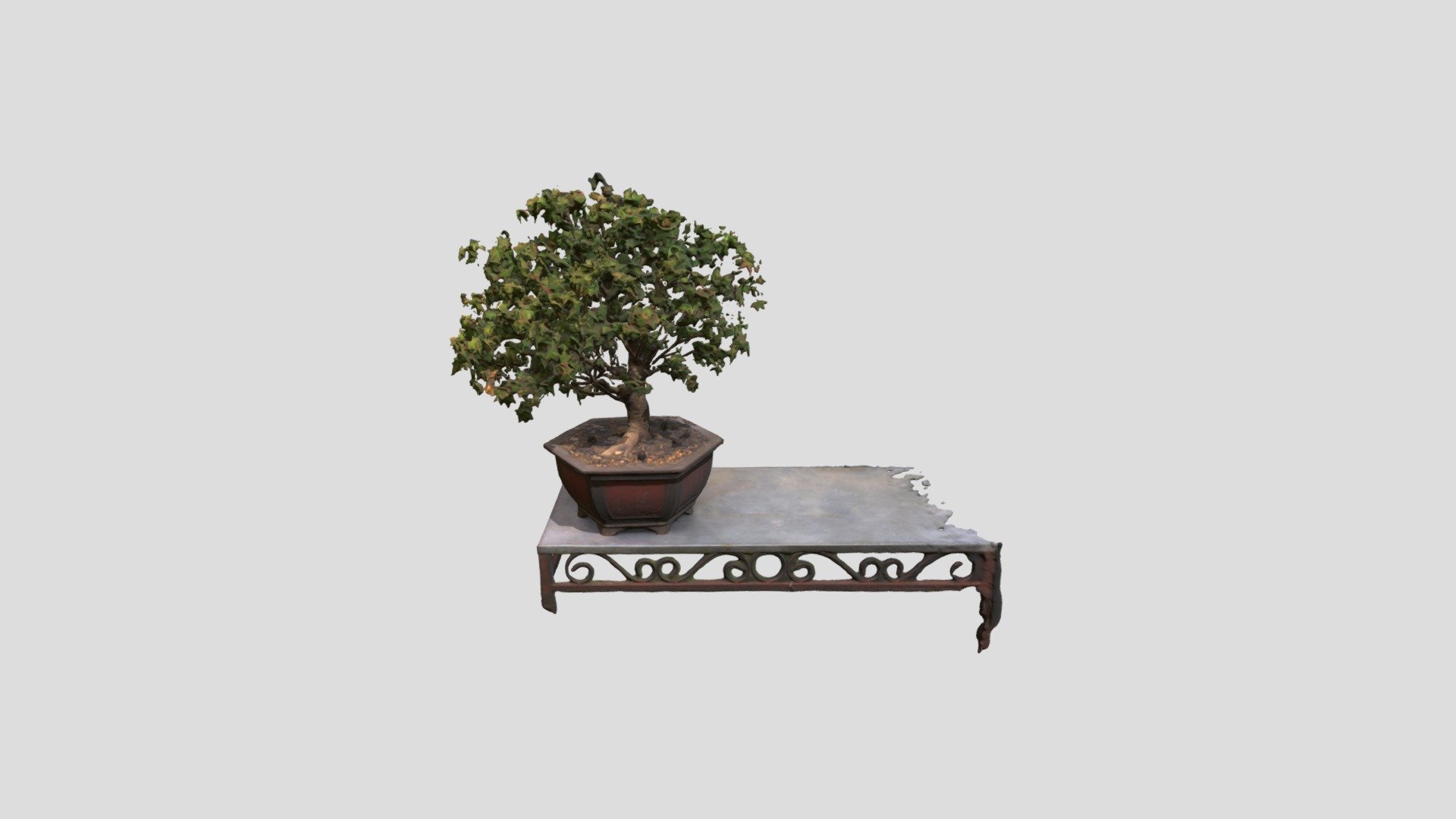 Bonzai - 3D model by liseli [5f87a67] - Sketchfab