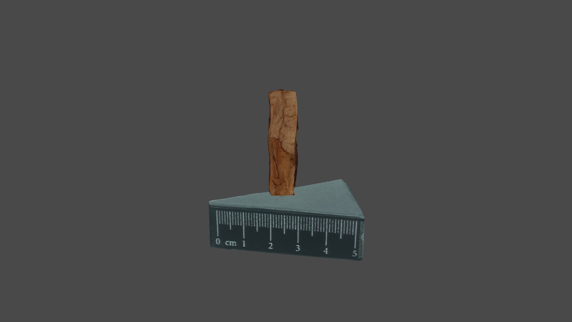 ฮุ้นไฮ Scale bar - Download Free 3D model by 65201101047 [5f8cc68 ...