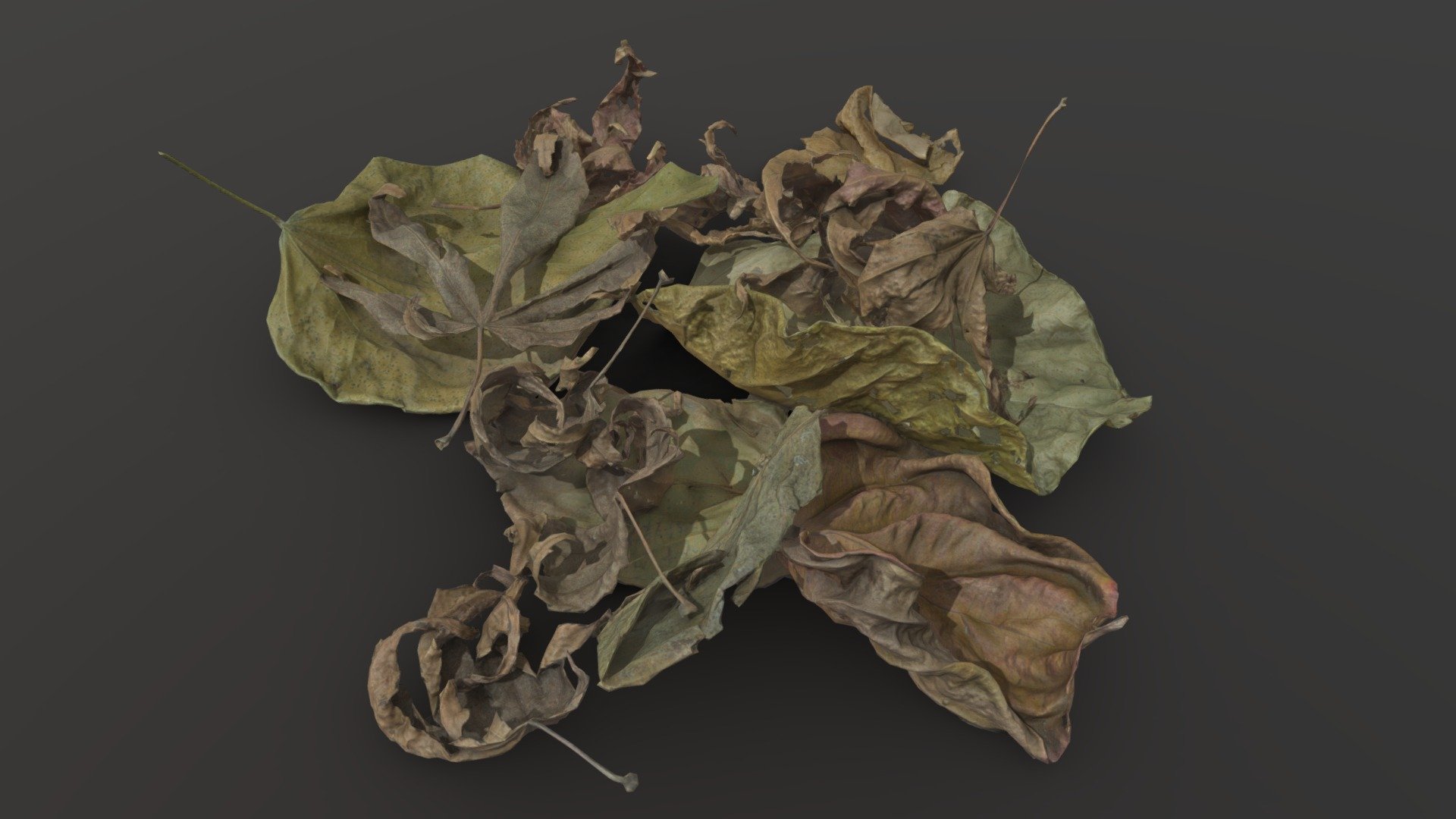A pile of dry autumn leaves - 3D model by digiPROPS [5f93aa2] - Sketchfab