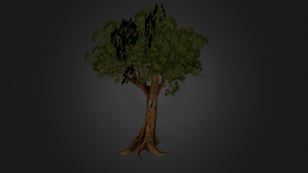 tree - A 3D model collection by linyang - Sketchfab