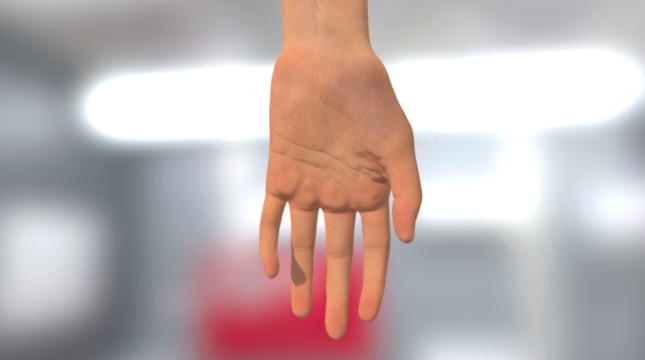 Realism Project: Hand - 3D model by Claire Hopson (@clairehopson ...