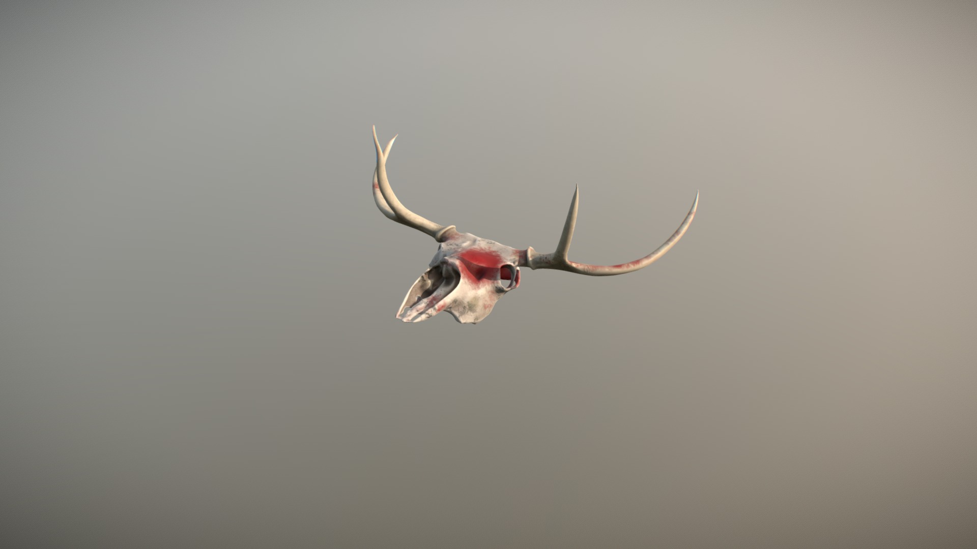 Deer Skull 3D Model - 3D model by berkayeraydin [5f99479] - Sketchfab