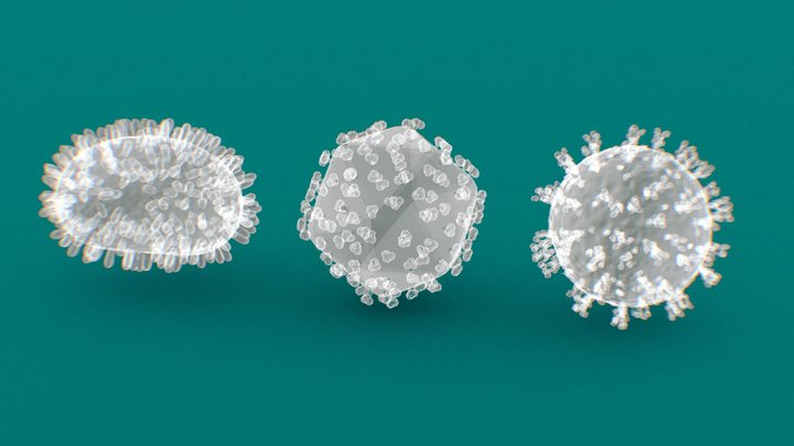 Monkeypox 3D models - Sketchfab