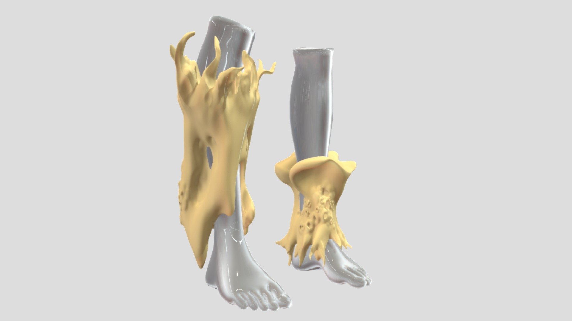 Anemone pedes - 3D model by Enmamanda [5faeeca] - Sketchfab