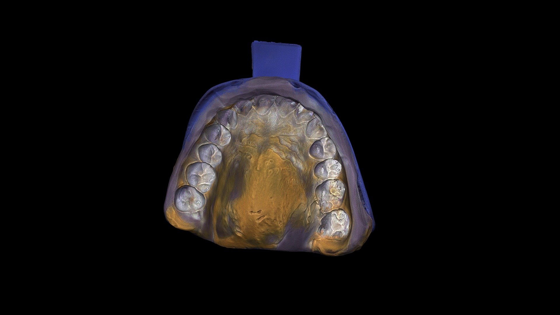 Tooth Model - Download Free 3D model by Thunk3D [5faf4b6] - Sketchfab