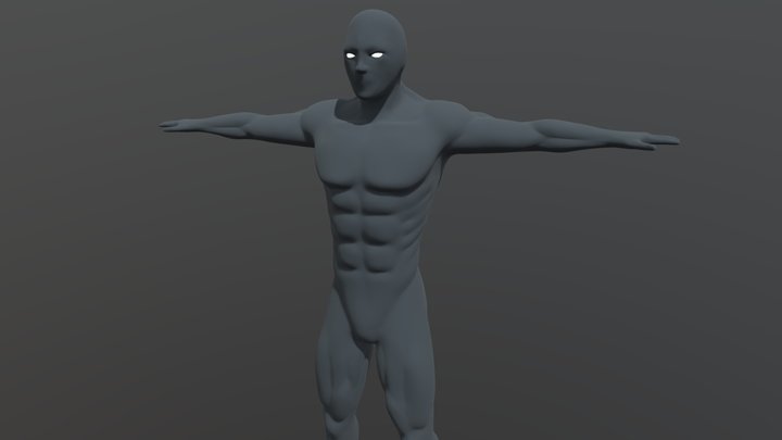 Muscles 3D models - Sketchfab