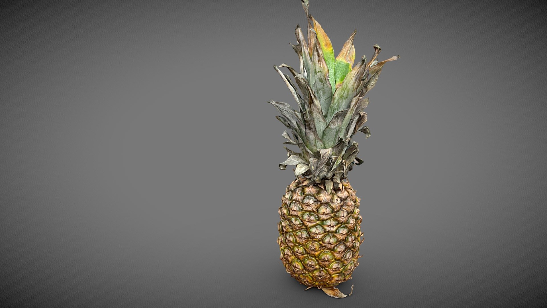 Pineapple photogrammetry model - Buy Royalty Free 3D model by Alex ...