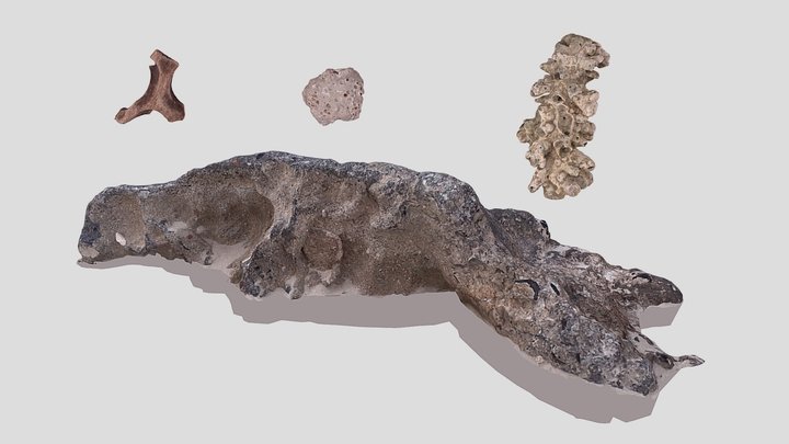 Woodstick 3D models - Sketchfab