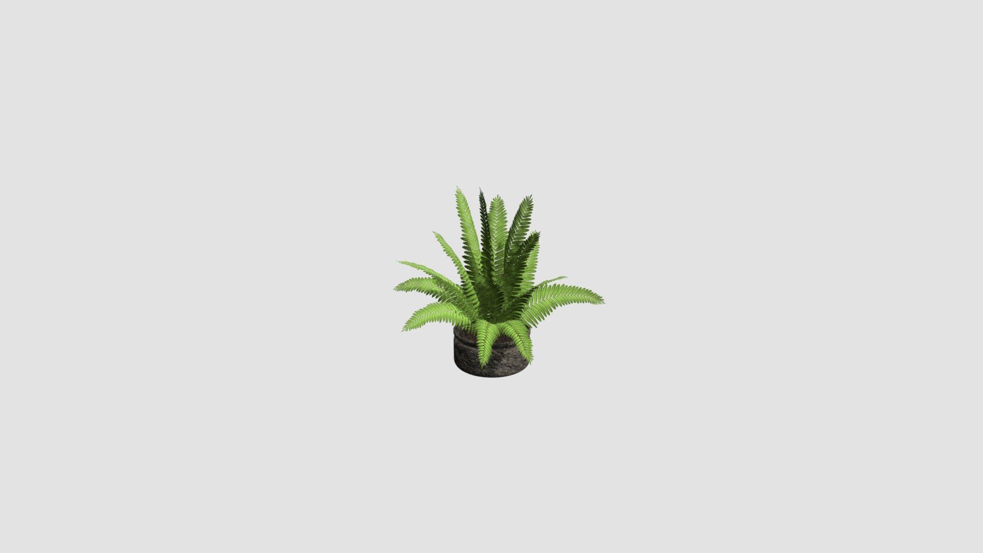 Plant - Buy Royalty Free 3D model by Evermotion [5fcc1b1] - Sketchfab Store