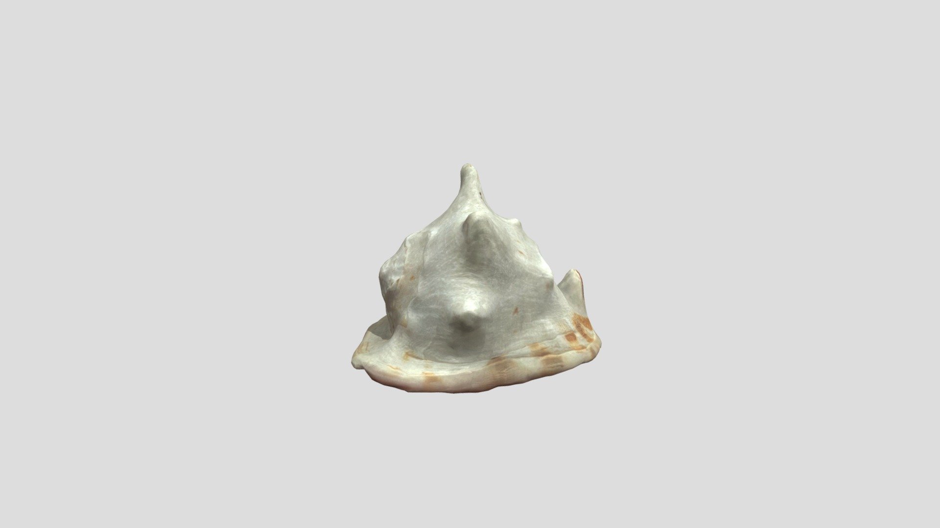 Caracol - Download Free 3D model by Museo Mutel (@Mutel) [5fccca8 ...