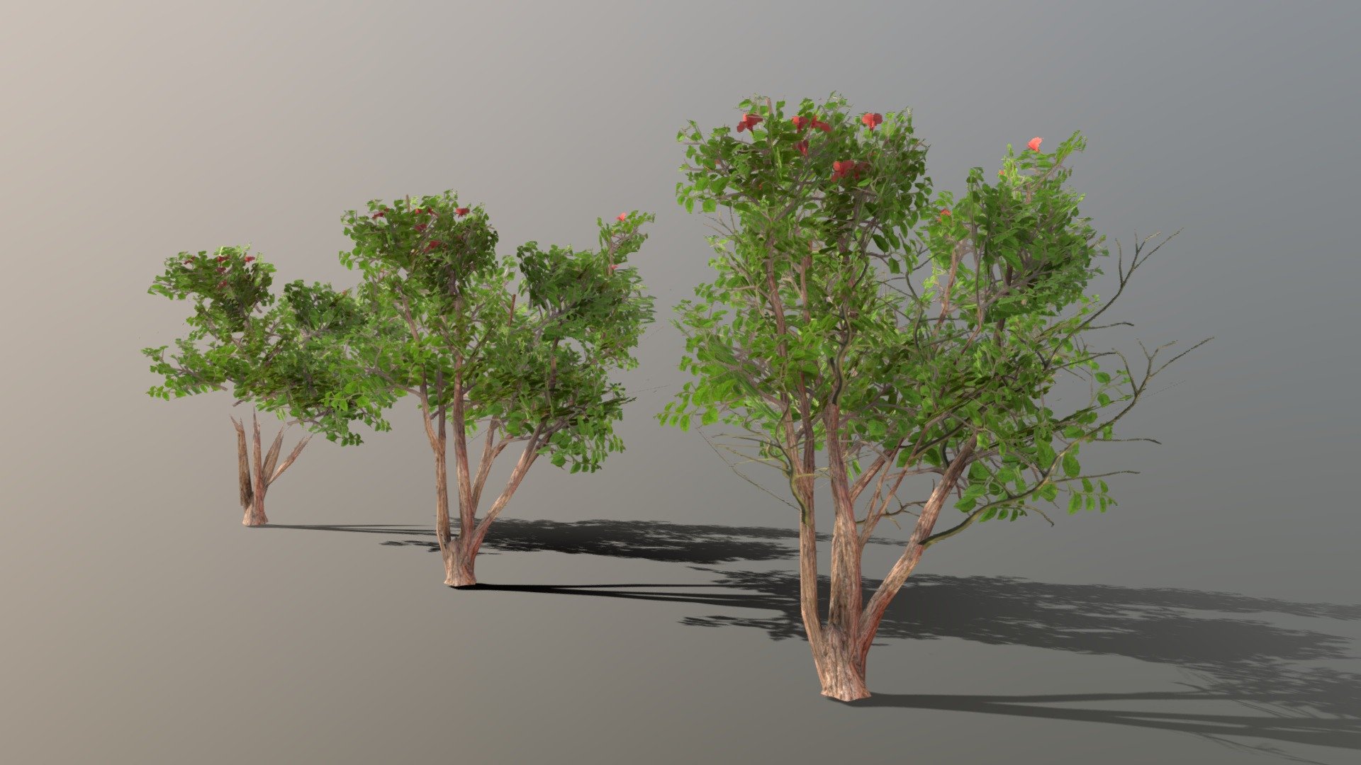 Plant Lowpoly - Download Free 3D model by Nodeaxis Interactive (@ar.jethin) [5fcd6e9] - Sketchfab