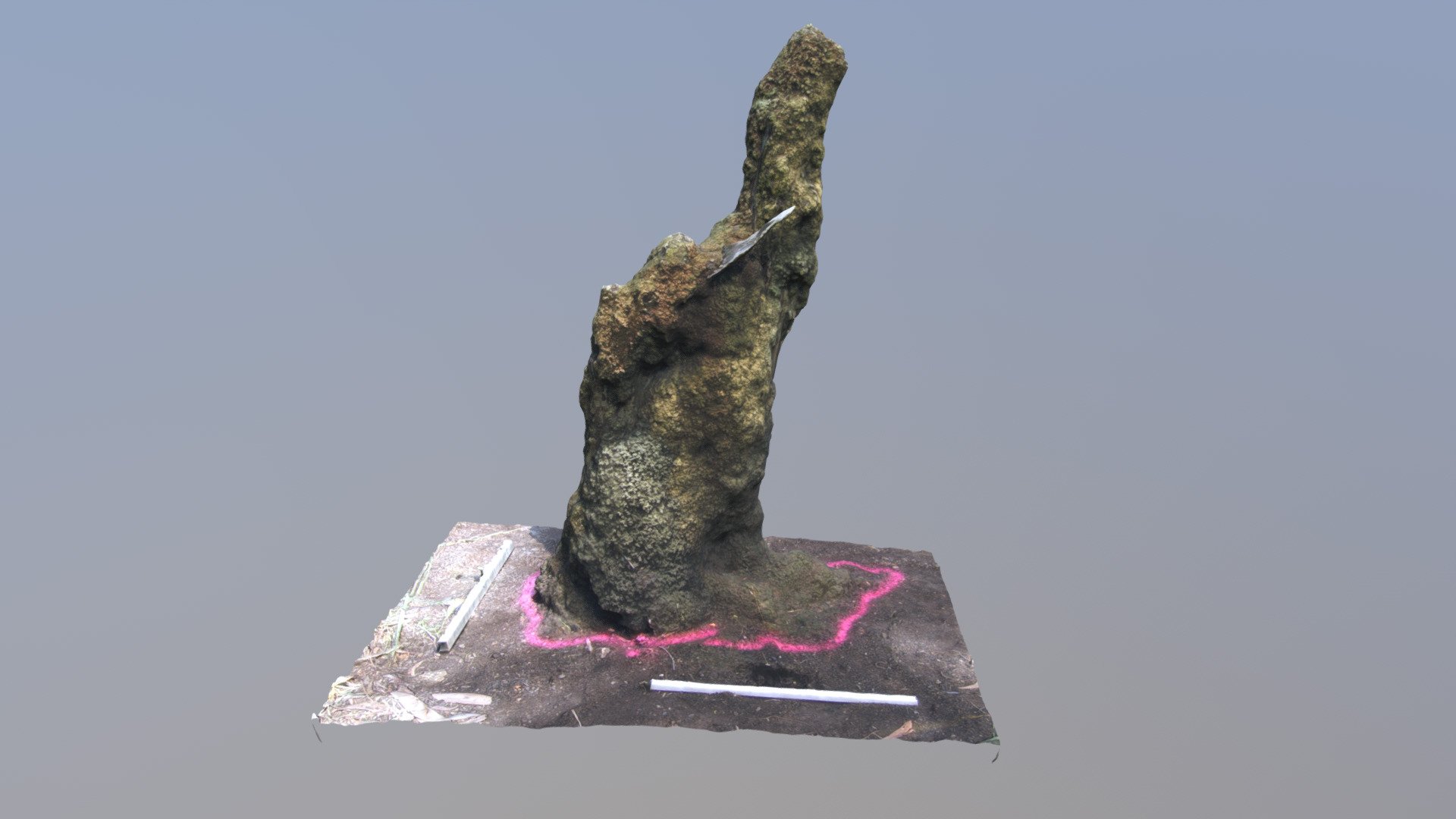 Termite mound Ms9-2016 - 3D model by pnauer [5fd6223] - Sketchfab