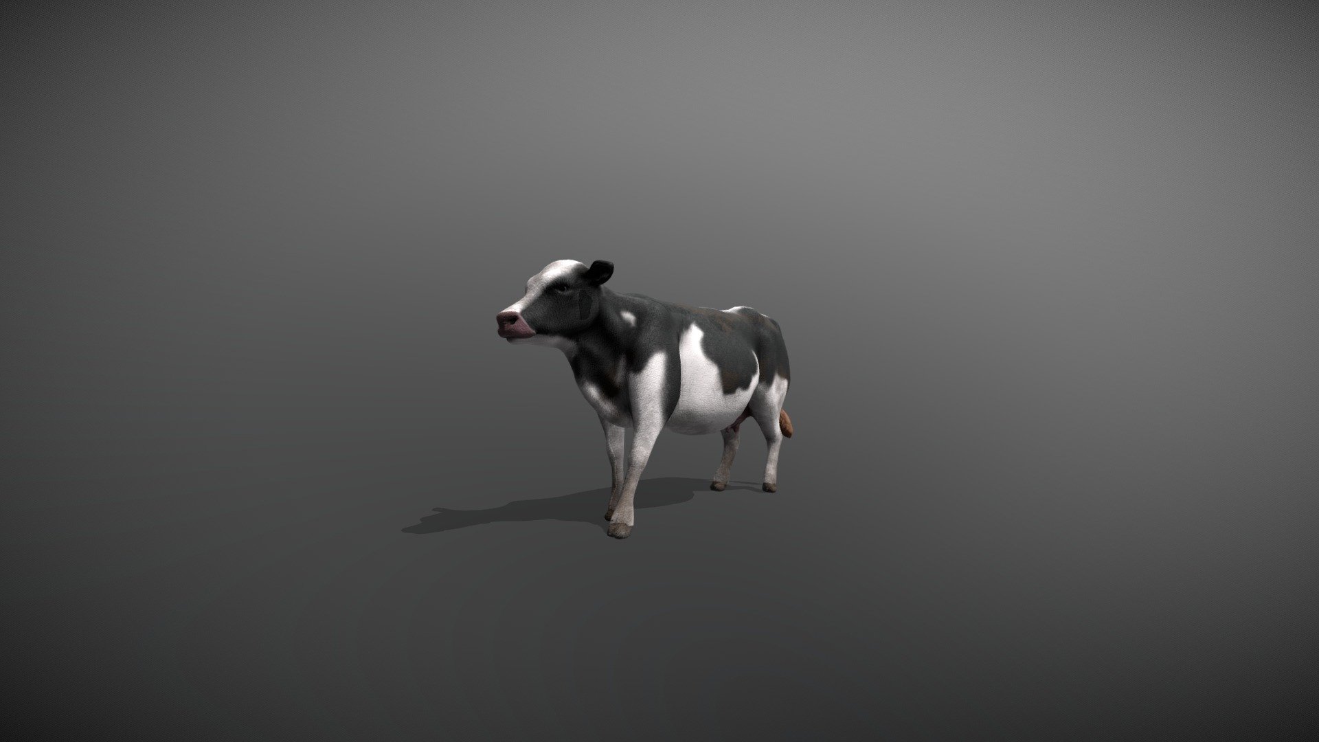 Cow - 3D model by emshh [5fe8f05] - Sketchfab