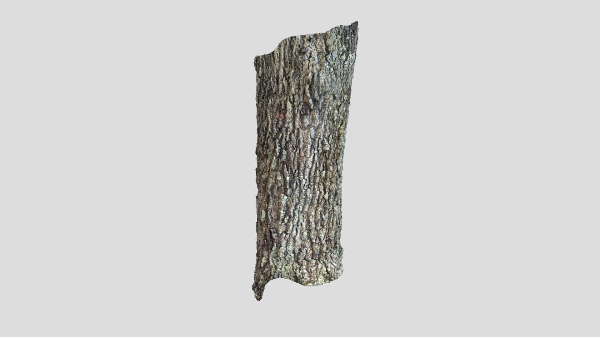 Tree Log - Download Free 3D model by mgonz1 [5fea3ad] - Sketchfab
