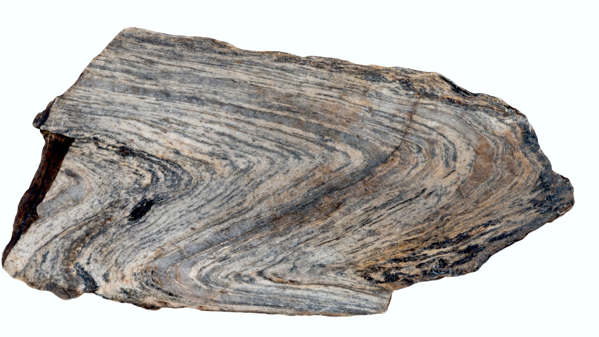 Plis dans un gneiss - Download Free 3D model by Ecole Nationale Supérieure de Géologie ...