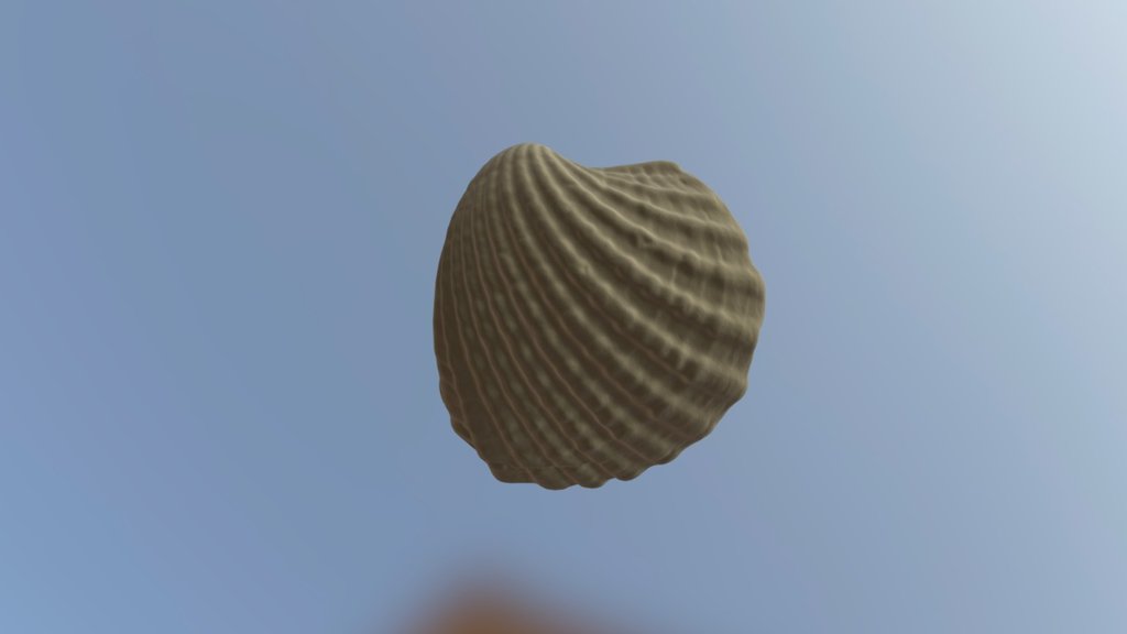 Shell - Download Free 3D model by ksdesignlab [5fedb66] - Sketchfab