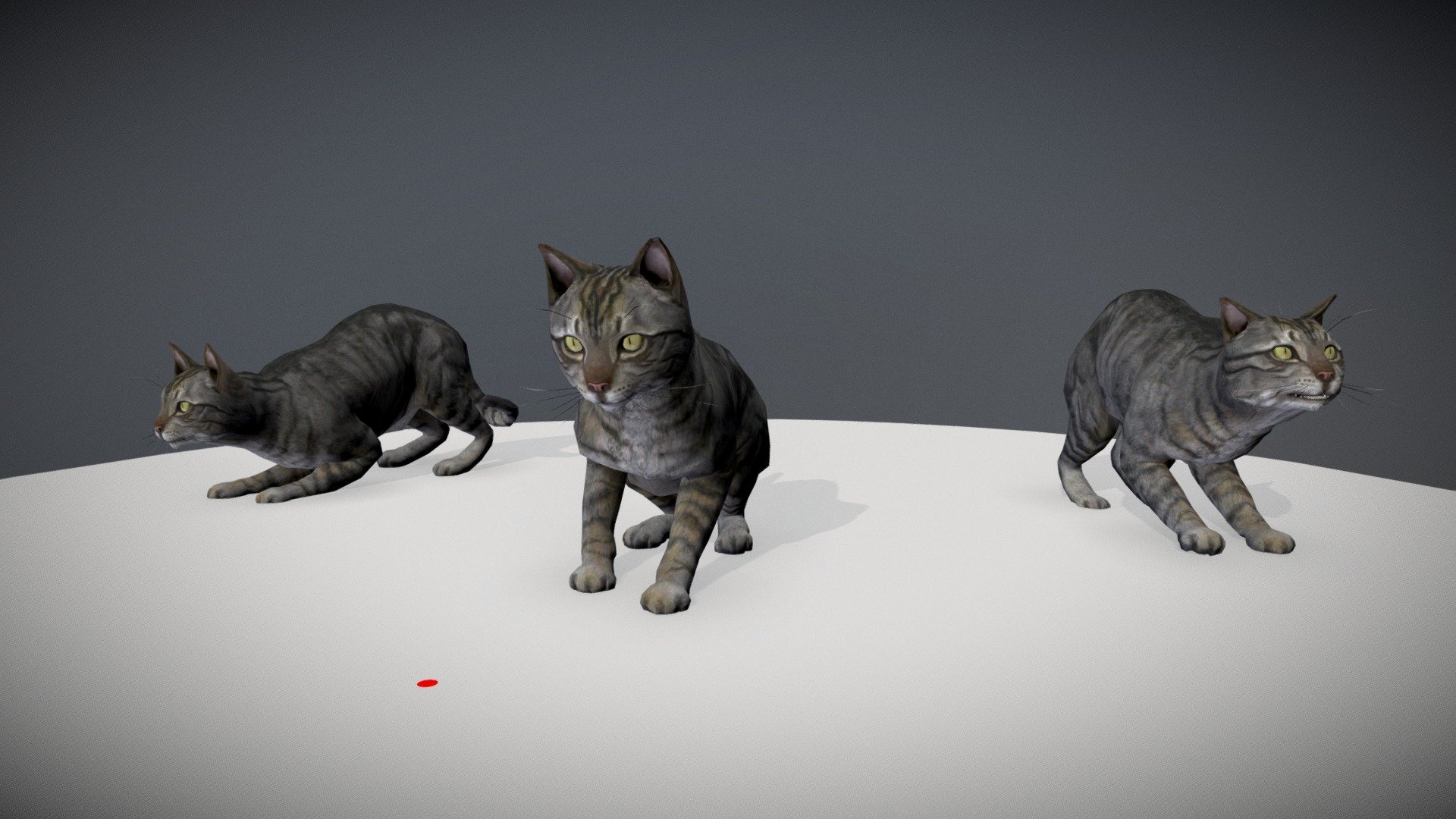 Cat - Play animation - 3D model by os.arch (@os.gkeylab) [5fefbf0 ...