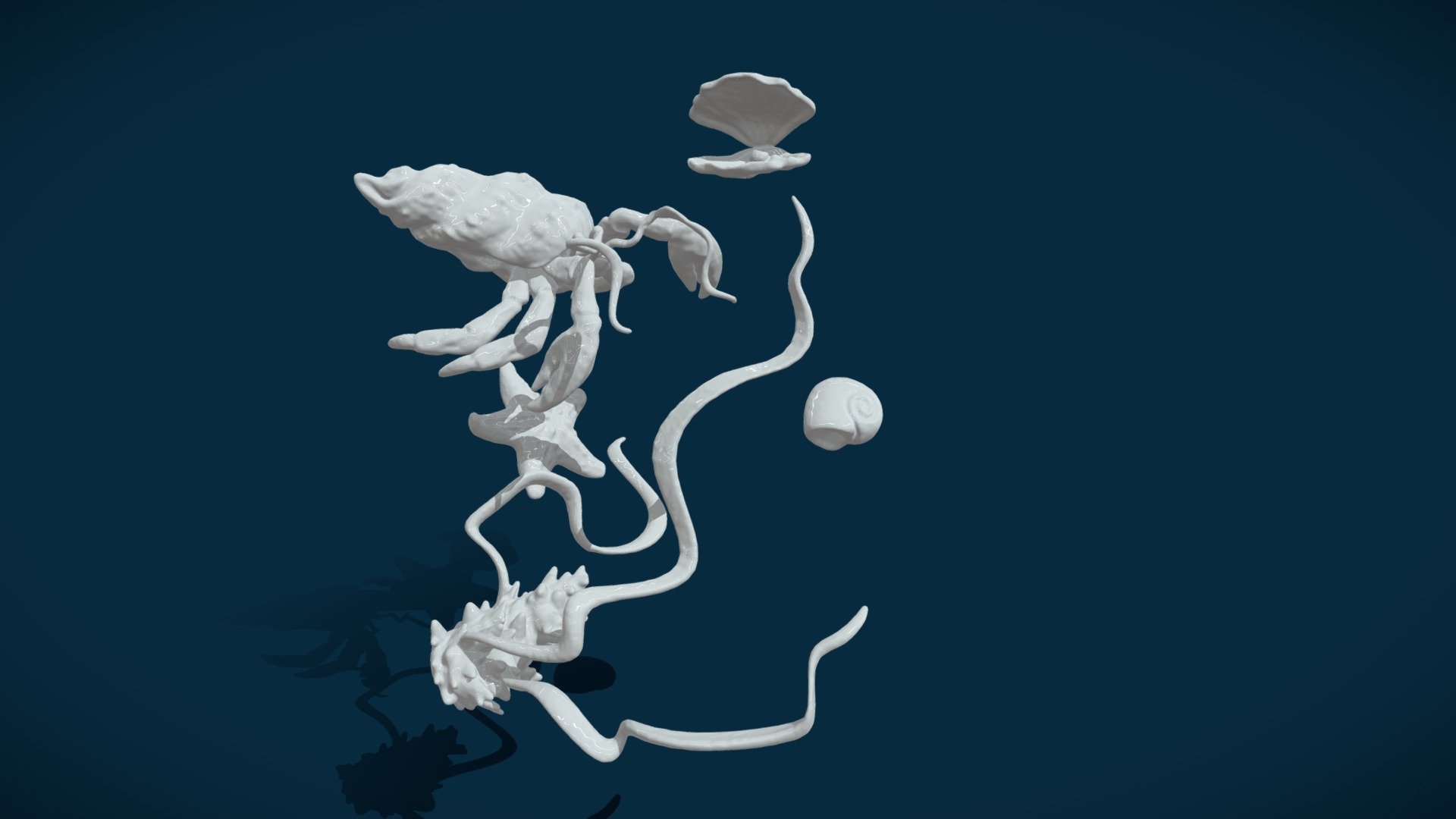 crab among shells - 3D model by tyttitink [5ff2c53] - Sketchfab