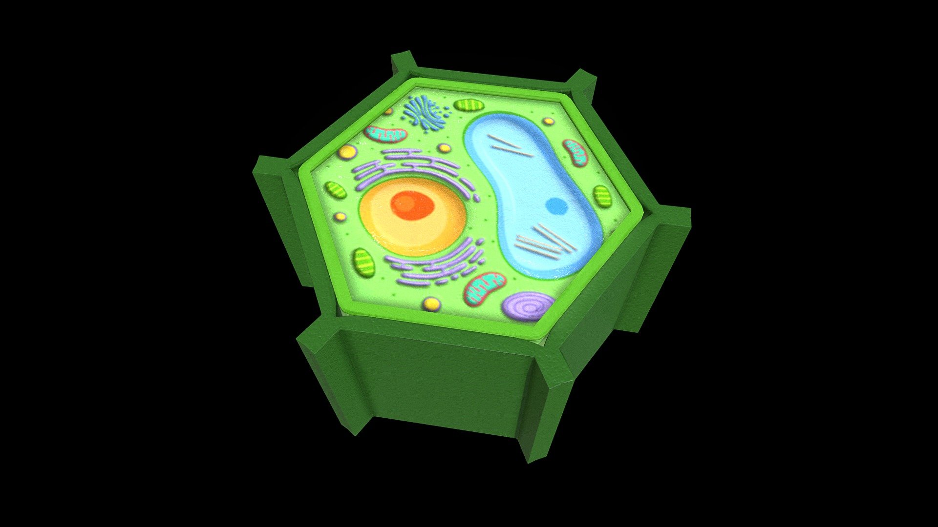 3d Labeled Plant Cell