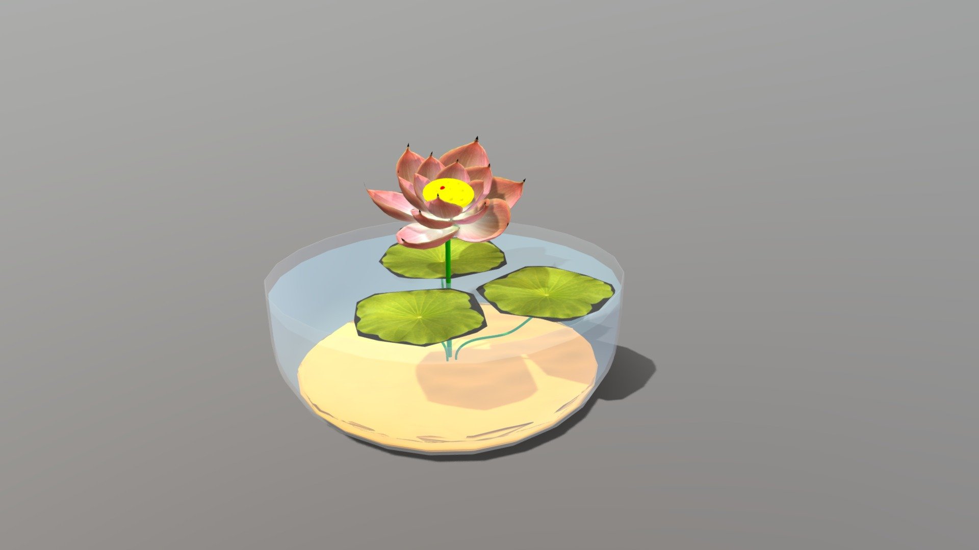 Lotus - Download Free 3D model by alittletable [6008fc1] - Sketchfab