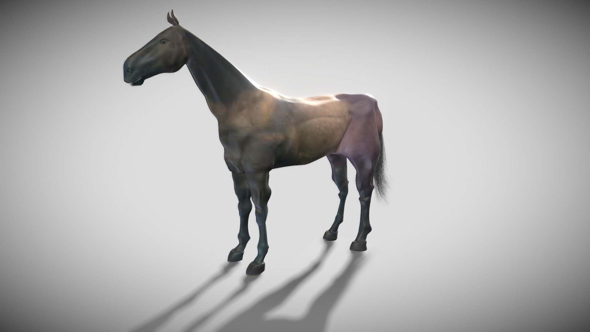 Animated Stallion - 3D model by aramabdulrahim [600a267] - Sketchfab