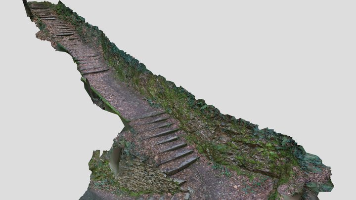 Moss 3D models - Sketchfab