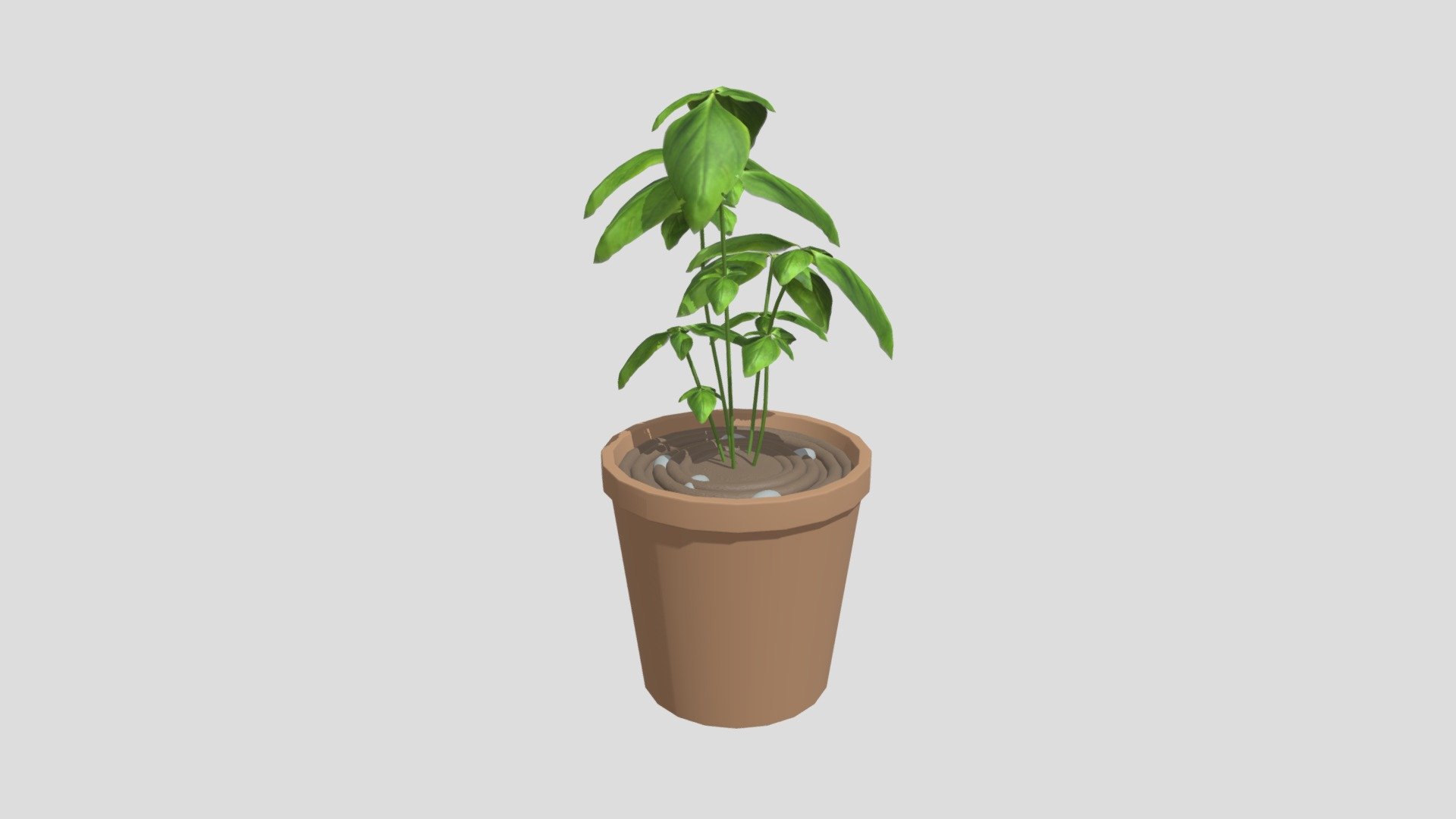 A8-basil Plant - Download Free 3D model by sbruehle [60215d6] - Sketchfab