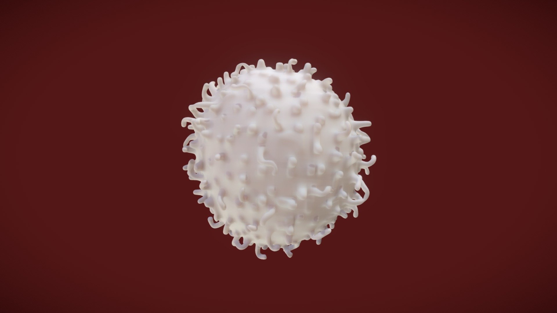 Leukocytes - Download Free 3D model by gelmi.com.br (@rodrigogelmi ...