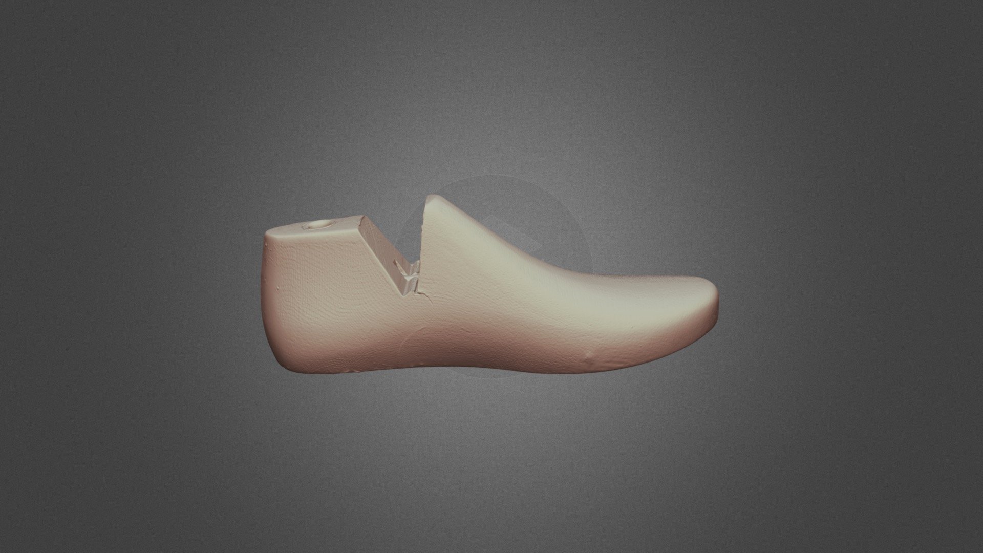 ShoeInsert078202023 - 3D model by Capture It In 3D (@CaptureMeIn3D ...