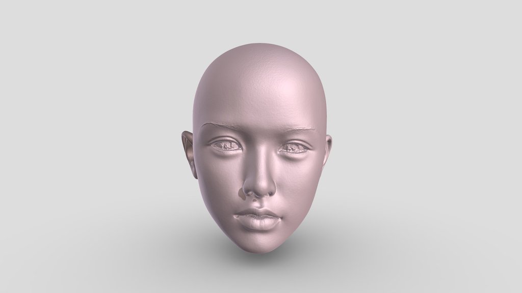 Head Sculpt - A 3D model collection by Diana Liu (@Diana123456) - Sketchfab