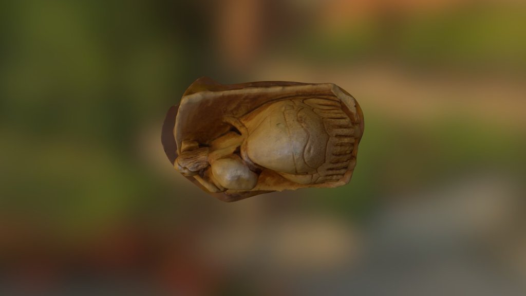 Sleeping Lady 3150 BC - 3D model by craig hodgkinson (@chodgkinson ...