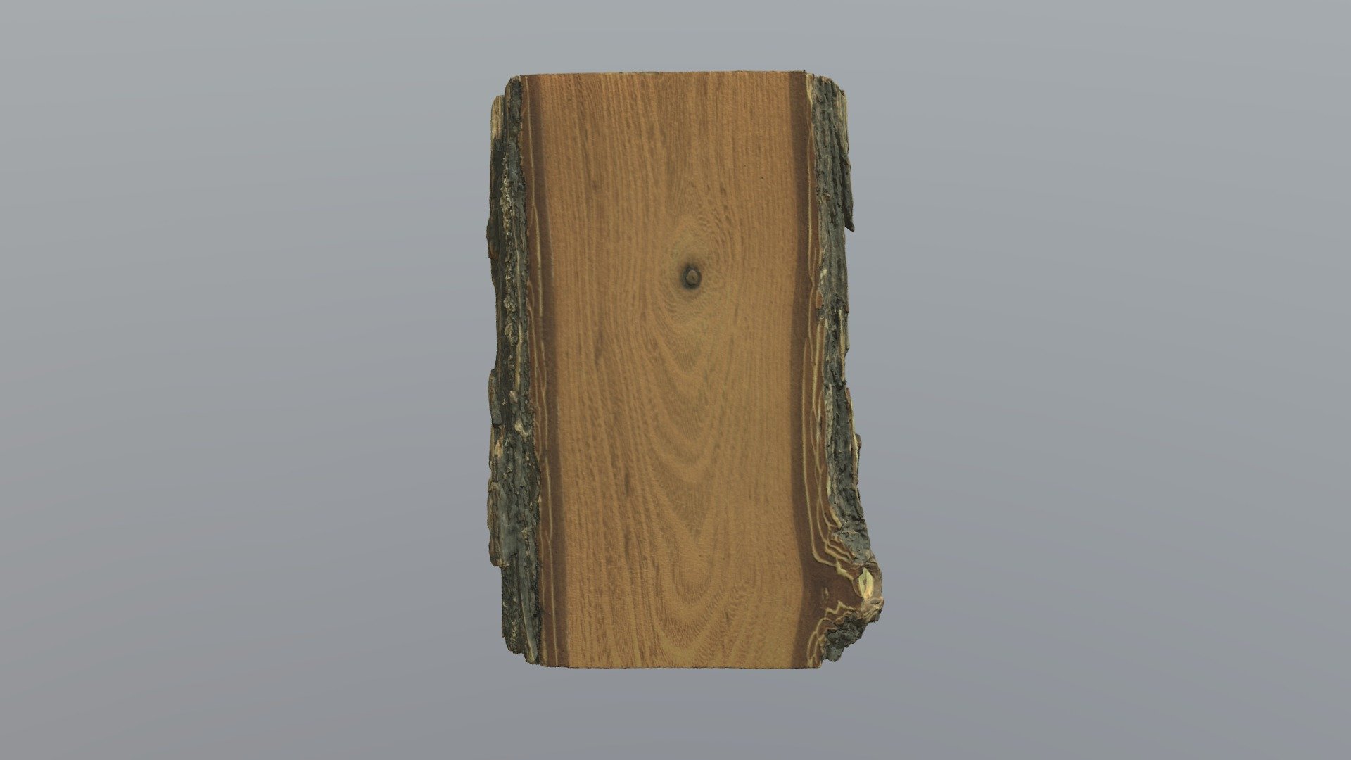 White Elm/Water Elm Sample - 3D model by Wellesley College ...