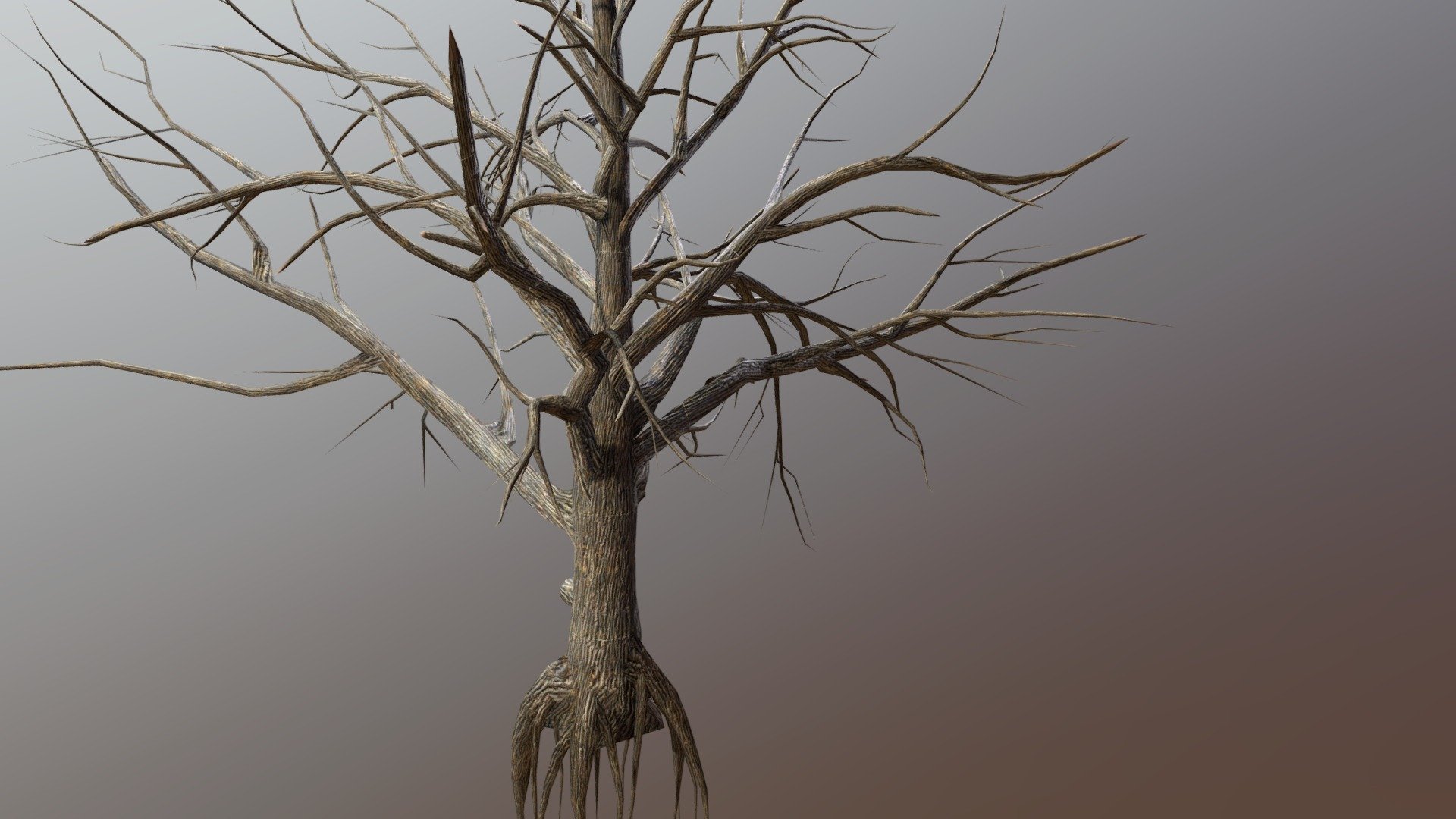 Tree_curve2 - 3D model by beebopjan [603bcc8] - Sketchfab