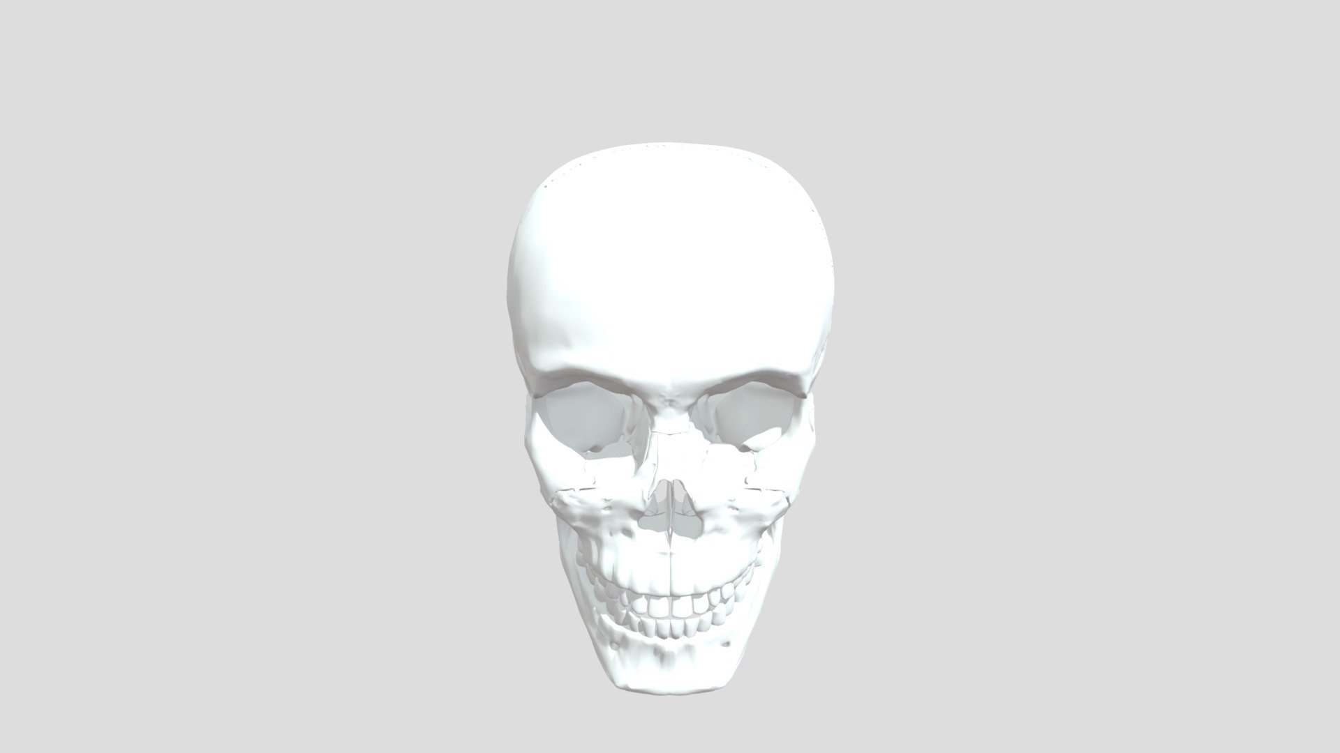 Skull - 3D model by garygates [605b143] - Sketchfab